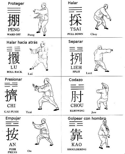 As 13 Posturas do Tai Chi Chuan The 13 Postures of Taijiquan 太極拳
