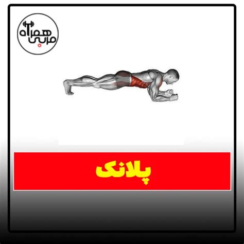 پلانک آموزش ویدیویی اجرا حرکت پلانک به فرم صحیح مربی همراه