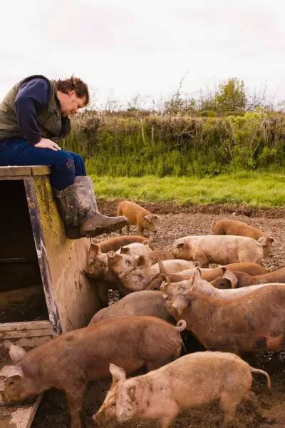 Traits Of A Good Farmer What Makes A Successful Farmer Stand Out