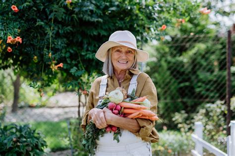 Que Planter En Septembre Au Potager