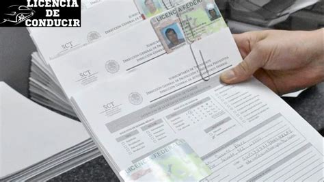 Licencia De Conducir Federal 2023 2024 Noviembre 2024