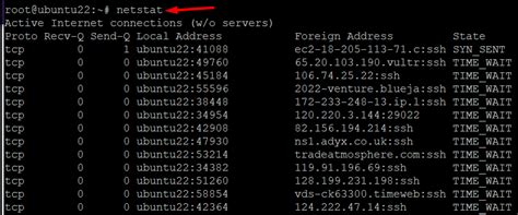 Learn About The Netstat Command In Linux 18 Examples Inside