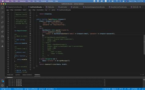 Php Method Laravel Passport Guards TokenGuard Attempt Does Not Exist