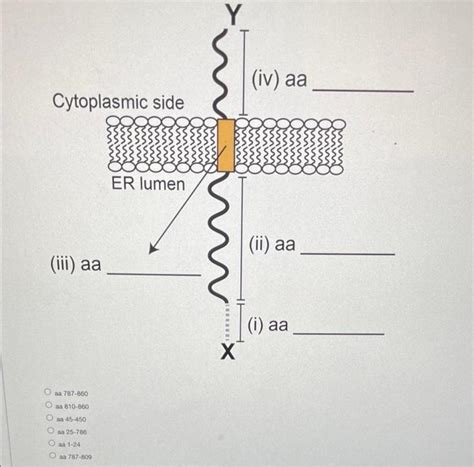 Solved Which Of The Following Schematics Represents A Type I Chegg