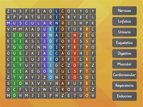 Sistemas Del Cuerpo Humano Wordsearch