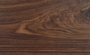 6 Different Types Of Walnut Wood With Pictures Homenish