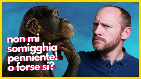 Discendiamo Dalle Scimmie O Siamo Stati Creati Youtube