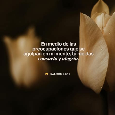 Salmos 94 19 En medio de mis angustias y grandes preocupaciones tú me