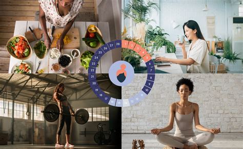 Cycle Syncing How To Work With Your Hormones In Each Phase Of Your Cycle