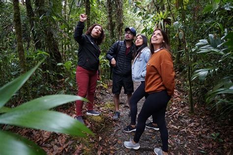 Coban Excursion partagée d une demi journée au Quetzal Birdwatching