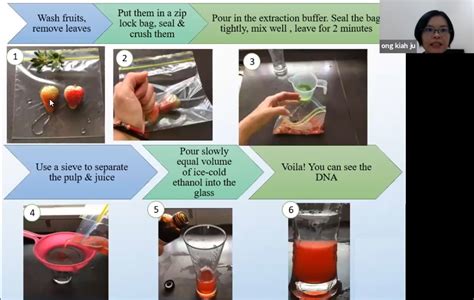 Dr Ong Showing The Steps To Extract DNA From Strawberries