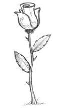 Rosas Dibujos De Corazones A Lapiz Faciles De Hacer