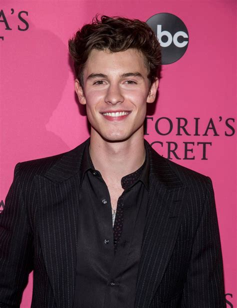 Victoria Secret Fashion Show Shawn Mendes