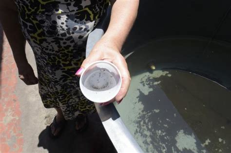 Saiba como se reproduz o mosquito da Dengue e como combatê lo Kelldrin