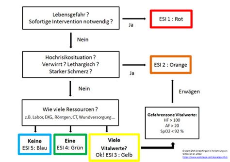 Verschiedene Triage Systeme Und Leitsymptome Bei Erw Und Kindern