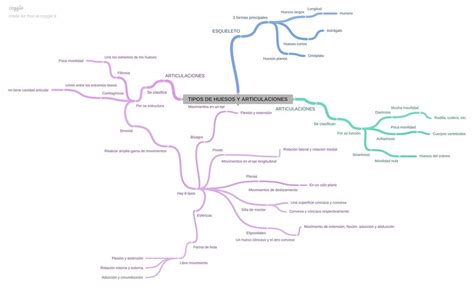 Tipos De Huesos Y Articulaciones Forensic Notes UDocz