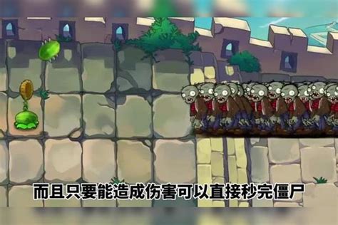植物大战僵尸新系列西瓜投手篇