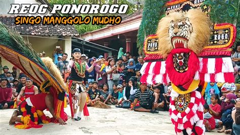 Solah Keren Pembarong Ganteng Reog Ponorogo Bikin Penonton Terpesona
