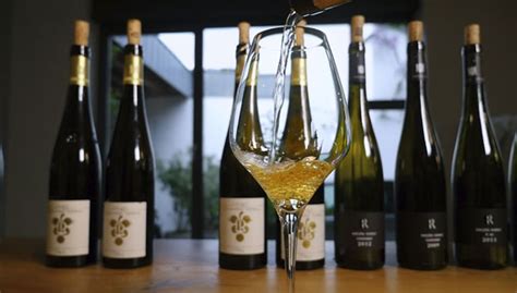 Tipos De Vino Clasificaciones Del Vino Por Sus