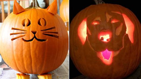 Cat Pumpkin Carving Made Simple Create Cute Halloween Decor In Minutes