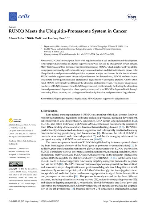 Pdf Runx Meets The Ubiquitin Proteasome System In Cancer