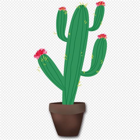 Ilustración De Cactus De Planta En Maceta PNG Imágenes Gratis Lovepik