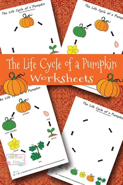 Life Cycle Of A Pumpkin Free Printable