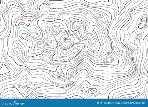 Topographic Altitude Line Map With Attraction Point Seamless Vector