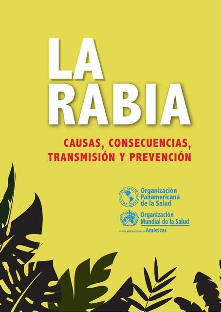 Rabia Causas Consecuencias Transmision Prevencion Ramon Carvalho UDocz
