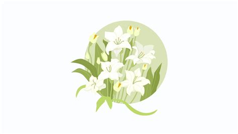 Cartoon Lily Flower Floral Animation 30775499 Stock Video At Vecteezy