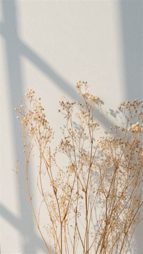 Tumblr Gambar Bunga Aesthetic Pinterest