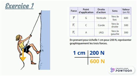 Exercices Sur Les Forces