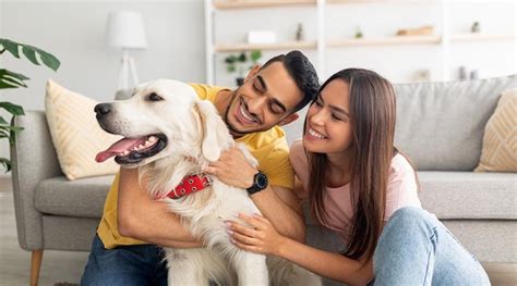 Por Qu Los Perros Se Convierten En Parte De La Familia Ella