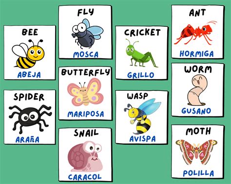 50 Nombres de Animales en inglés y español Apréndelos ya