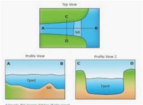 Difference Between Estuary And Delta With The Help Of A Diagram