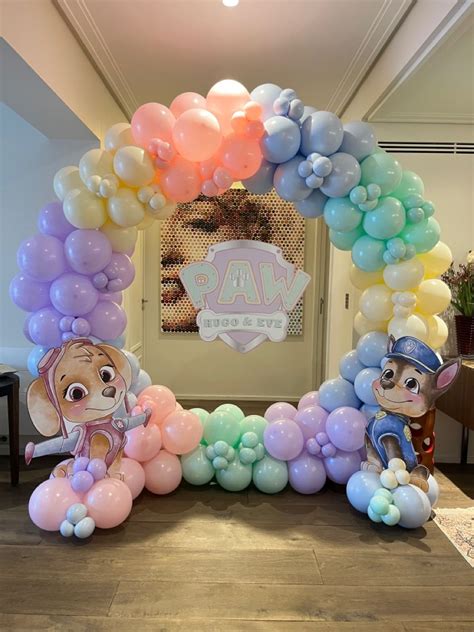 Soballons Soballons Instagram Photos And Videos In 2024 Paw