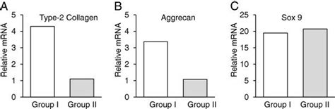 Real Time Pcr Analysis On Gene Expression Of Type Collagen Aggrecan