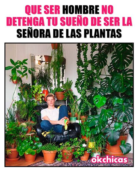 Yo Solo Quiero Que Todas Lleguemos A Diciembre Con Cena En La Mesa Y