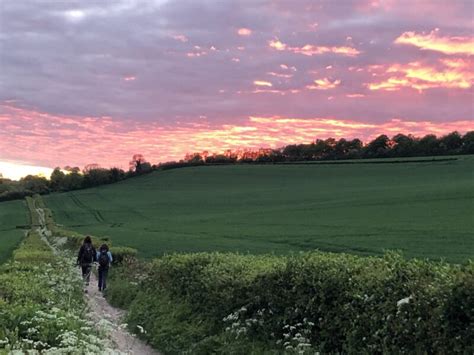 Sunset Summer Solstice Hike Surrey Hills National Landscape