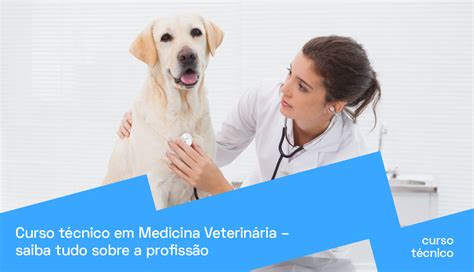 Curso técnico em Medicina Veterinária saiba tudo sobre a profissão