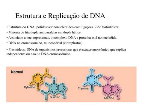 PPT Estrutura e Replicação de DNA PowerPoint Presentation free
