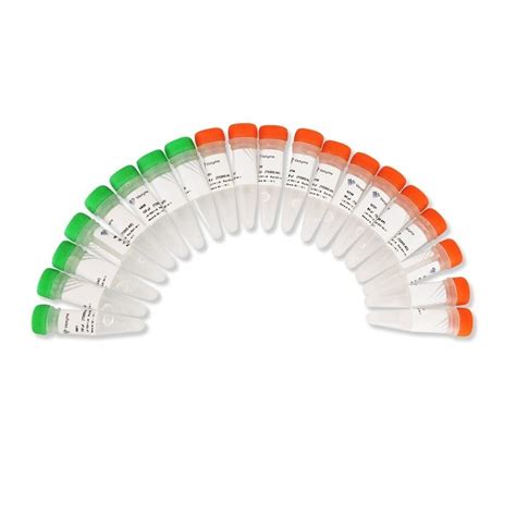 Reagenzkit Als L Sung Truepreptm Vazyme Medical Co Ltd F R Dna