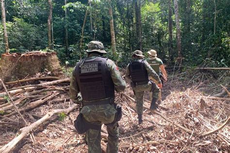 Alertas de desmatamento na Amazônia para junho batem recorde Pará