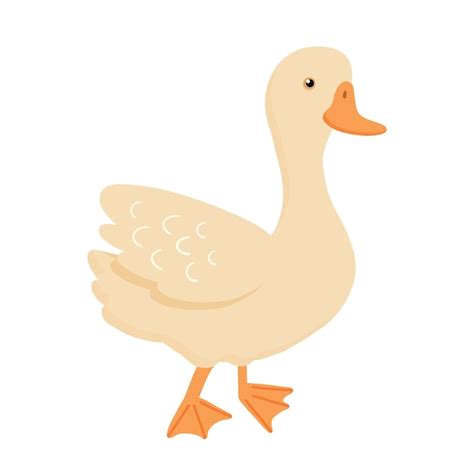 Lindo pato de dibujos animados de pie ilustración vectorial aislado