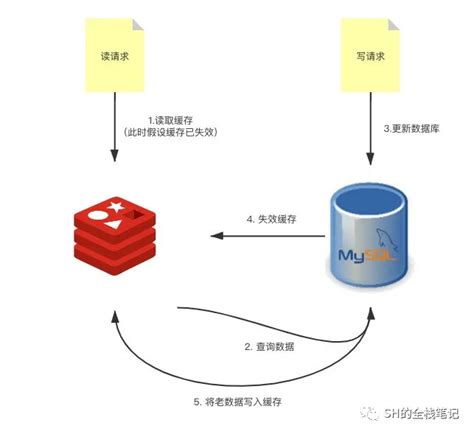 缓存与数据库双写一致性， 数据库基础 和通数据库