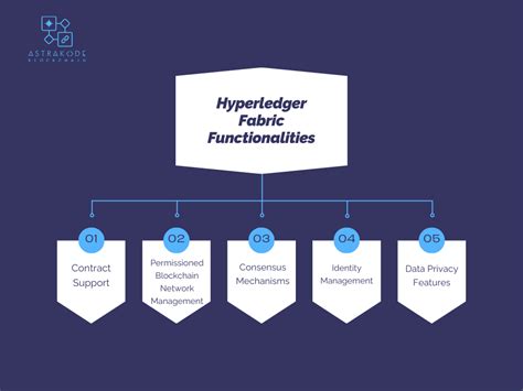 understanding hyperledger fabric a comprehensive overview astrakode