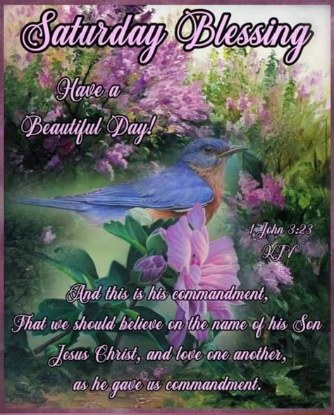 Saturday Blessing Scripture Quote Pictures Photos And Images For