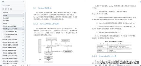 头一次见 24W 字的 SpringBoot 从入门到实战文档这也太全了吧 学透spring从入门到项目实战 pdf CSDN博客
