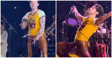 Harry Styles Grande Imbarazzo Sul Palco Si Inginocchia Davanti A