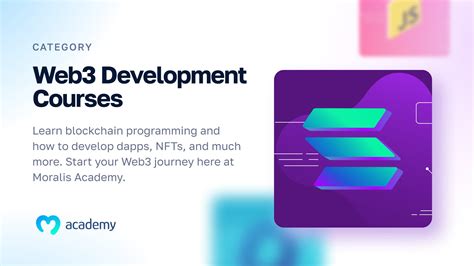 Web Development Courses Moralis Academy